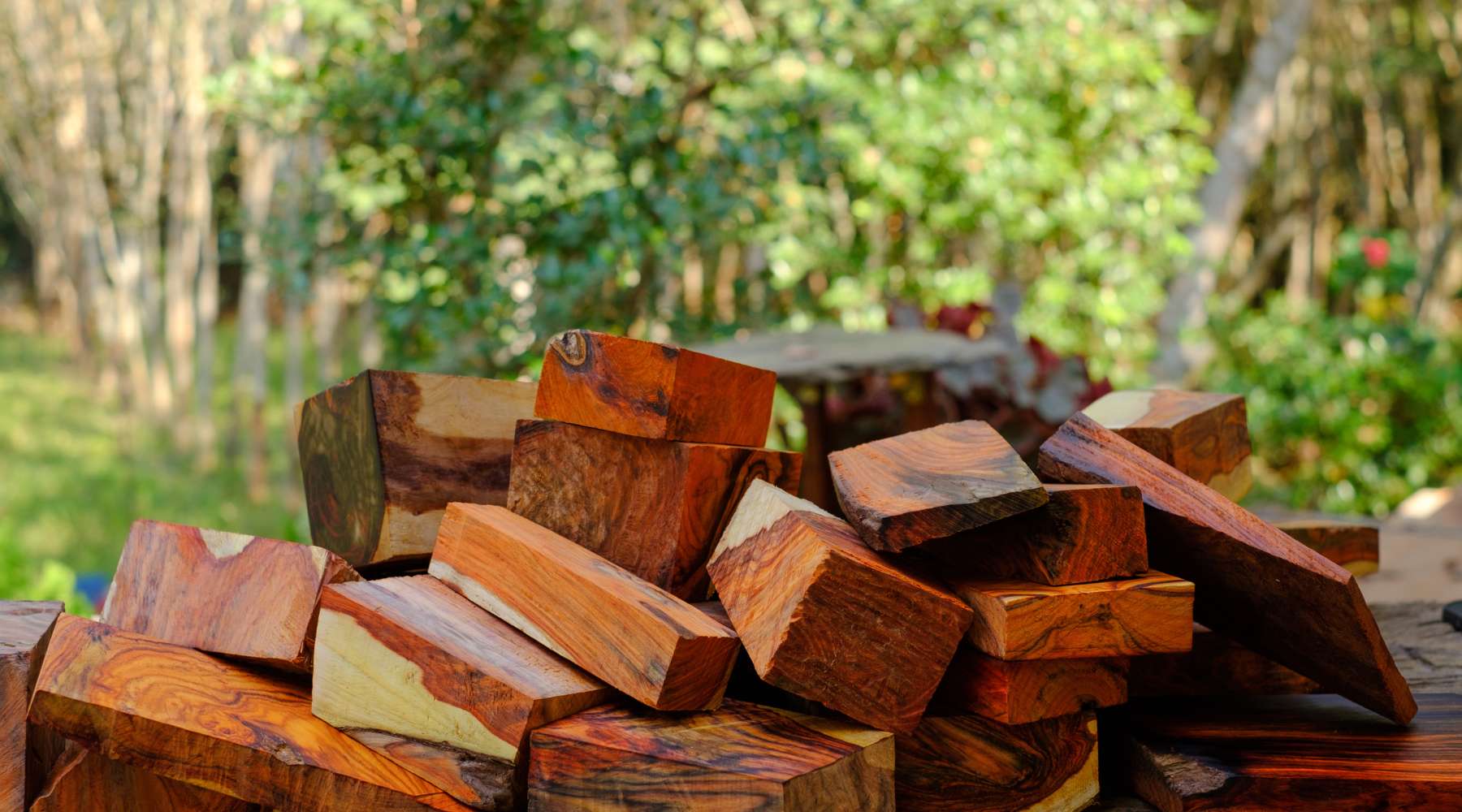 8 Benefits of Rosewood Essential Oil | Elcarim Resources